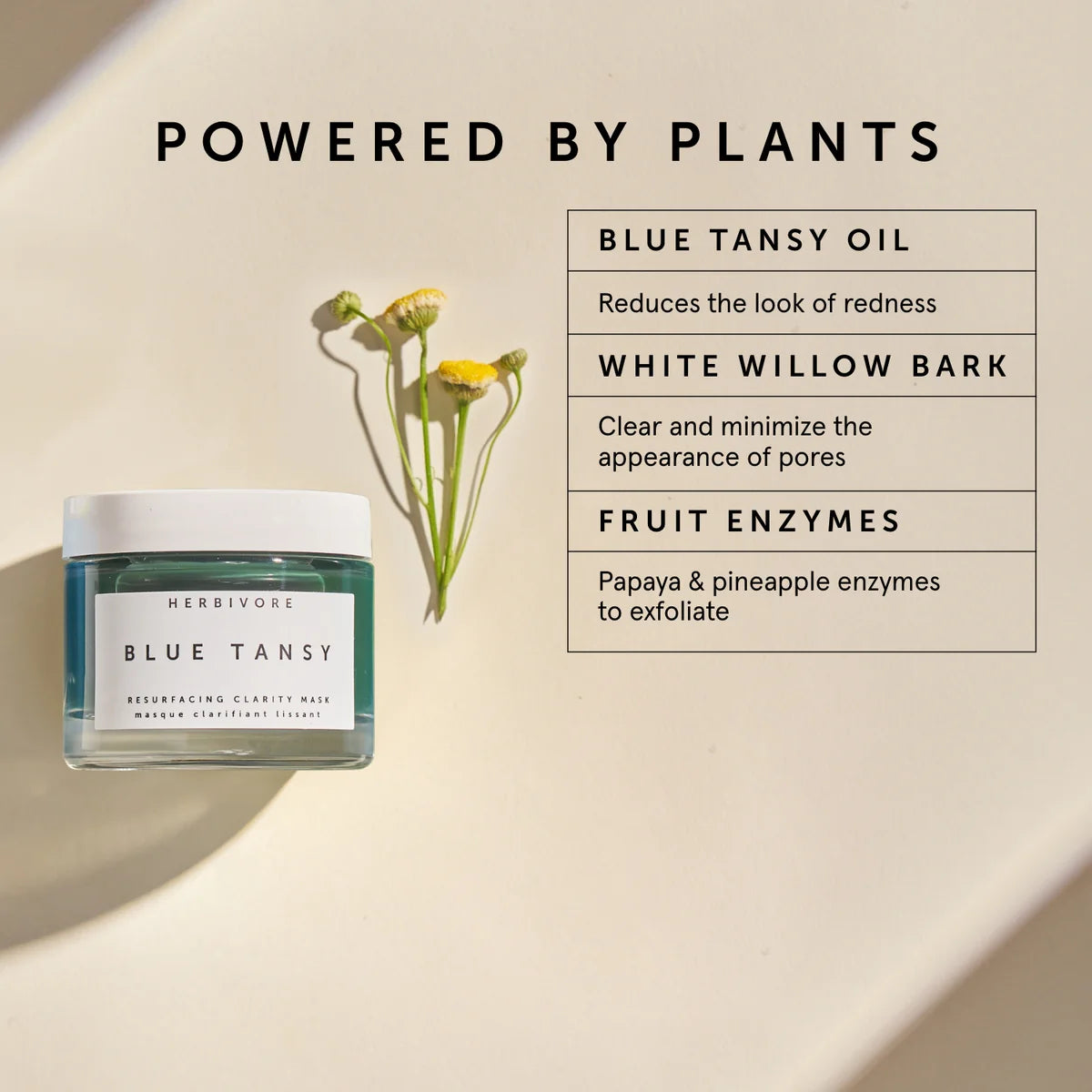 Blue Tansy Mask – The Gathershop
