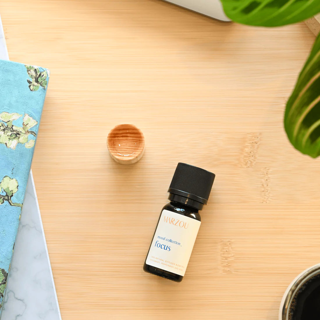 Focus Diffuser Blend – The Gathershop